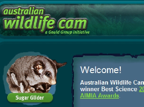 Portfolio - DDSN Interactive